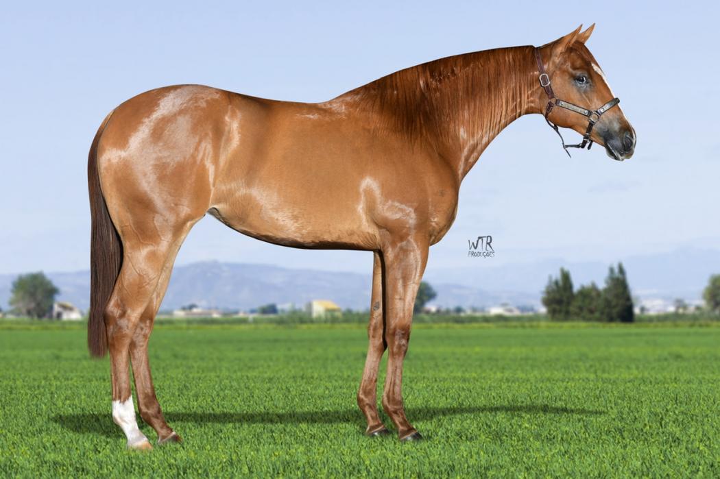 Criar leilões Online - Detalhes MARTINE FAME MOON