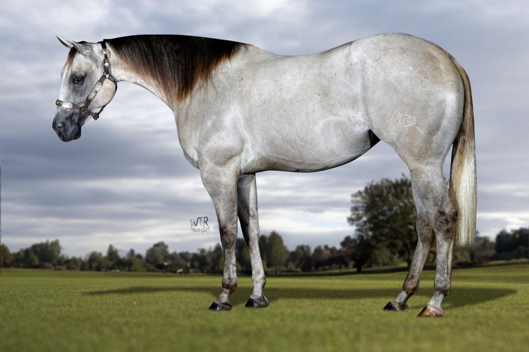 Criar leilões Online - Detalhes BARBIE LETTERS SWR-somente reprodução