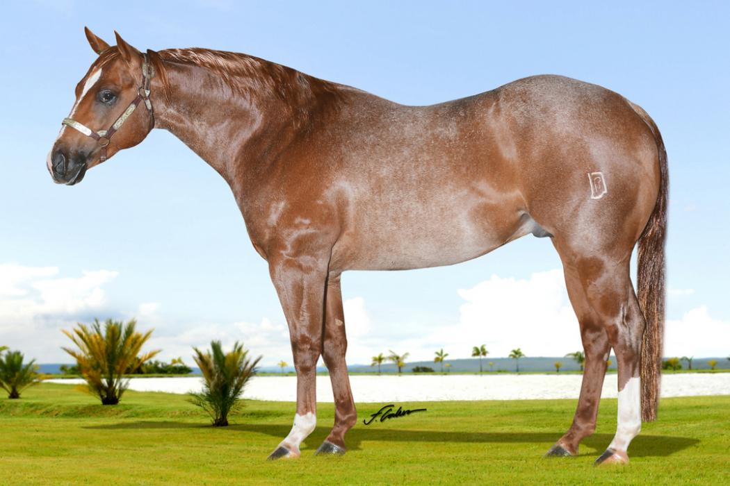 Criar leilões Online - Detalhes Metallic Peppy Indy