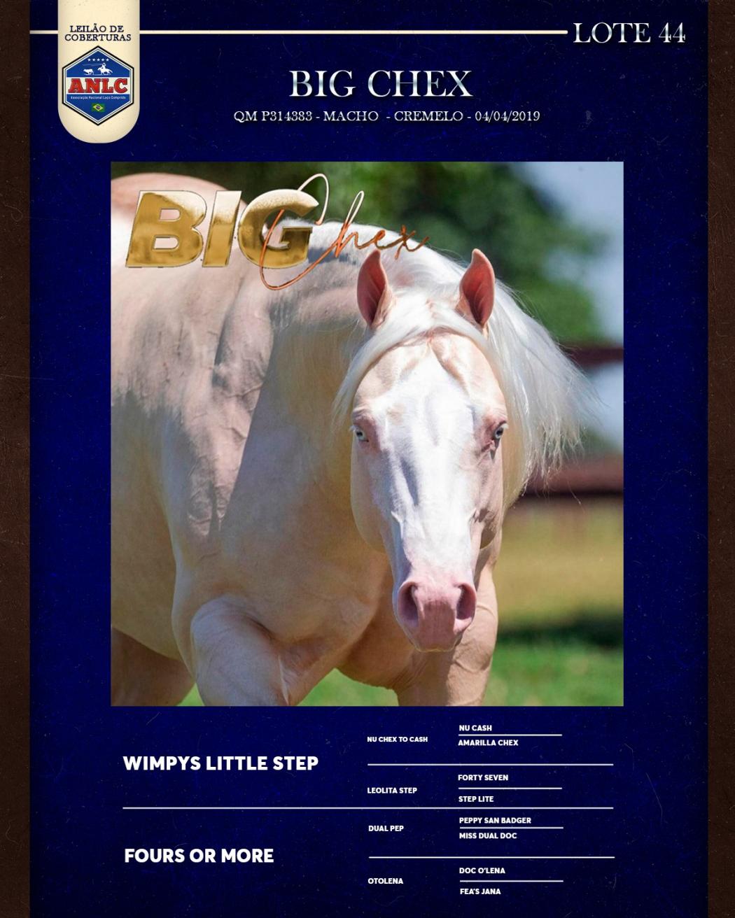 Criar leilões Online - Detalhes BIG CHEX