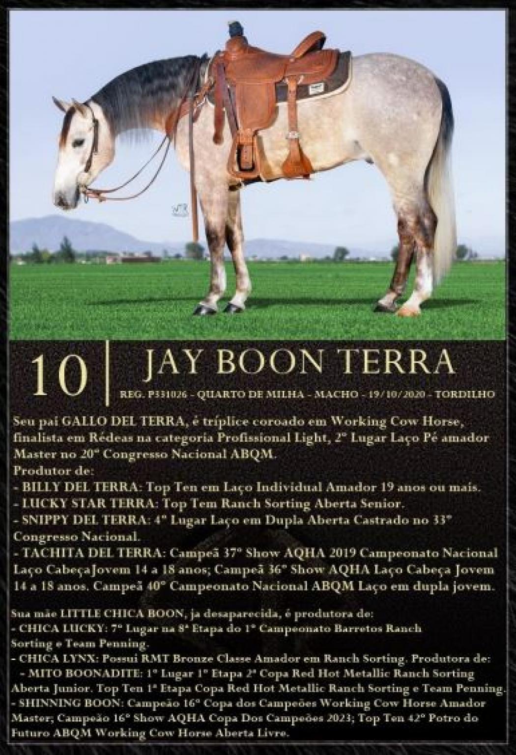 Criar leilões Online - Detalhes JAY BOON TERRA