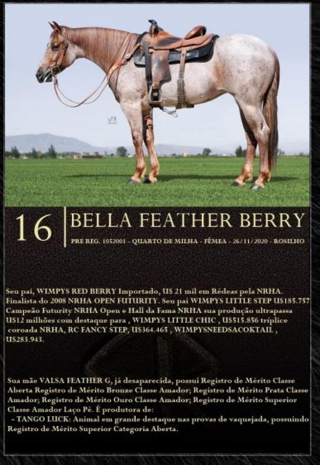 Criar leilões Online - Detalhes bella feather berry