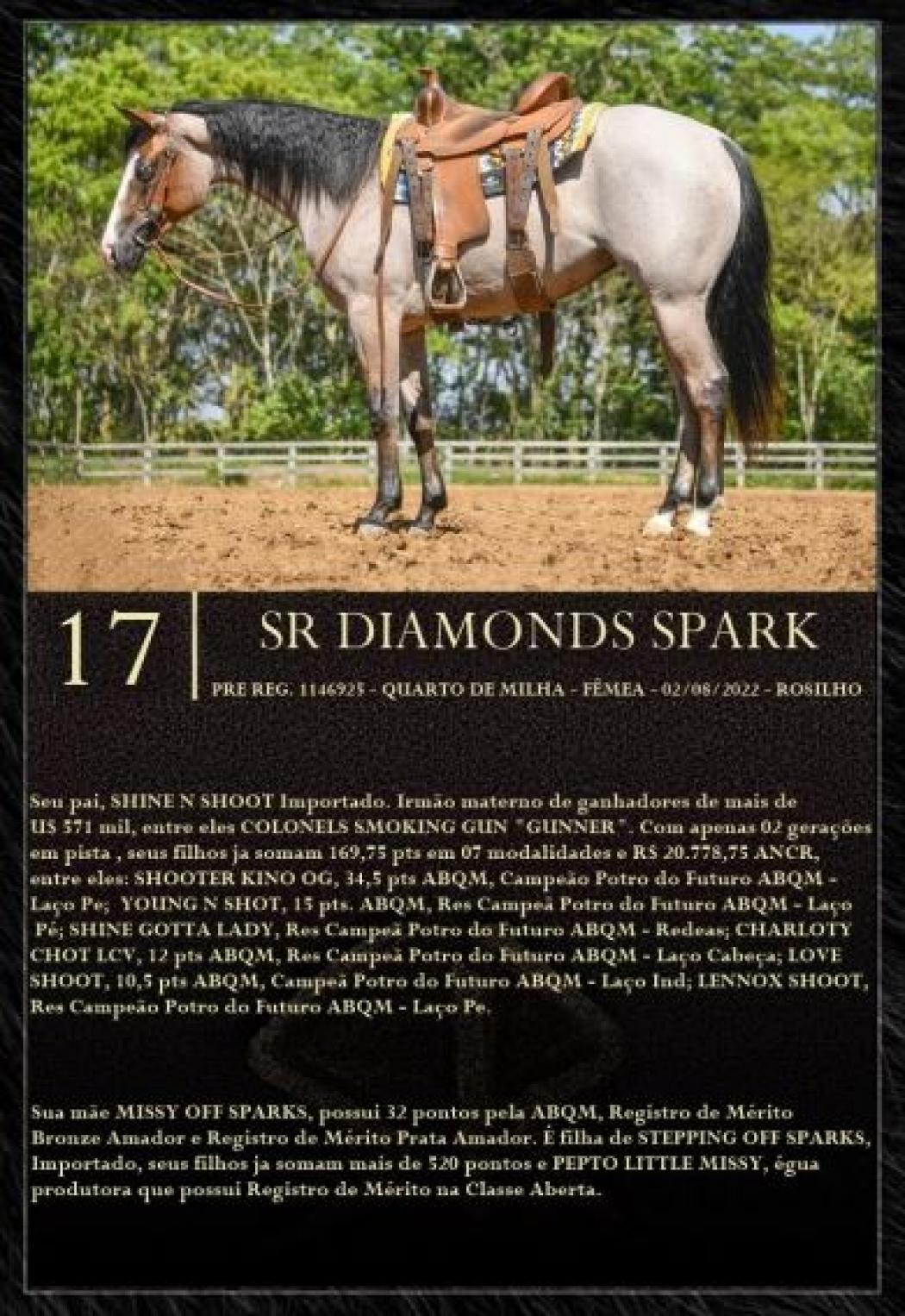 Criar leilões Online - Detalhes sr diamonds spark