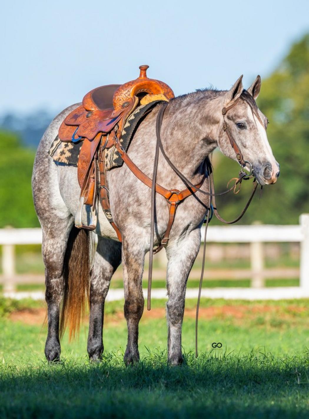 Criar leilões Online - Detalhes MARGUERITA CHEX