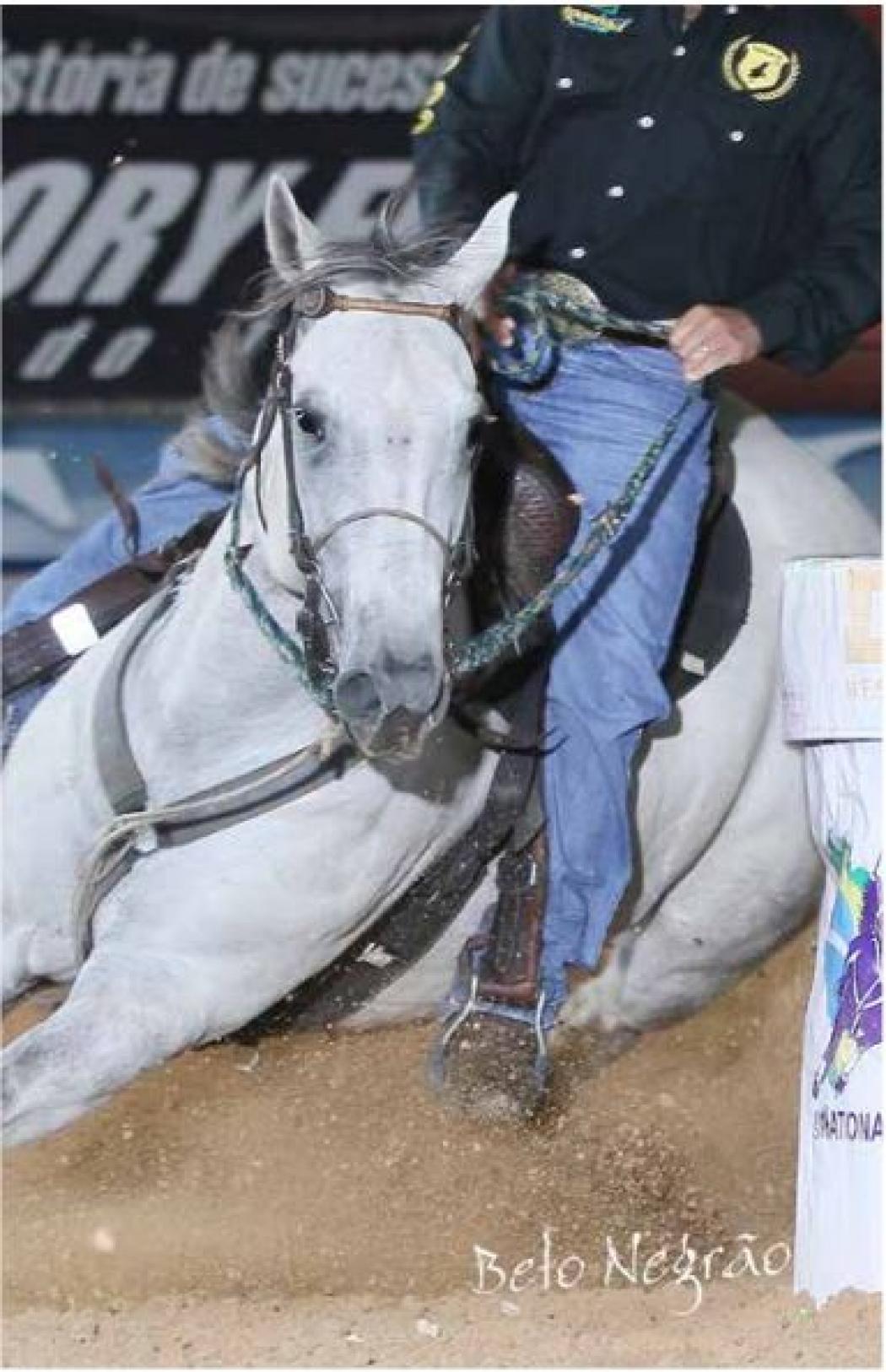 Criar leilões Online - Detalhes MISS VICTORY FLY LW