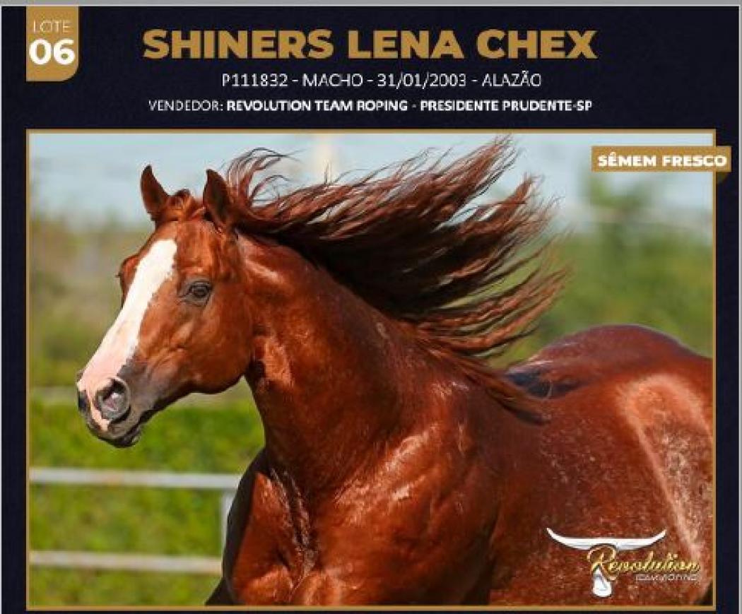 Criar leilões Online - Detalhes SHINERS LENA CHEX