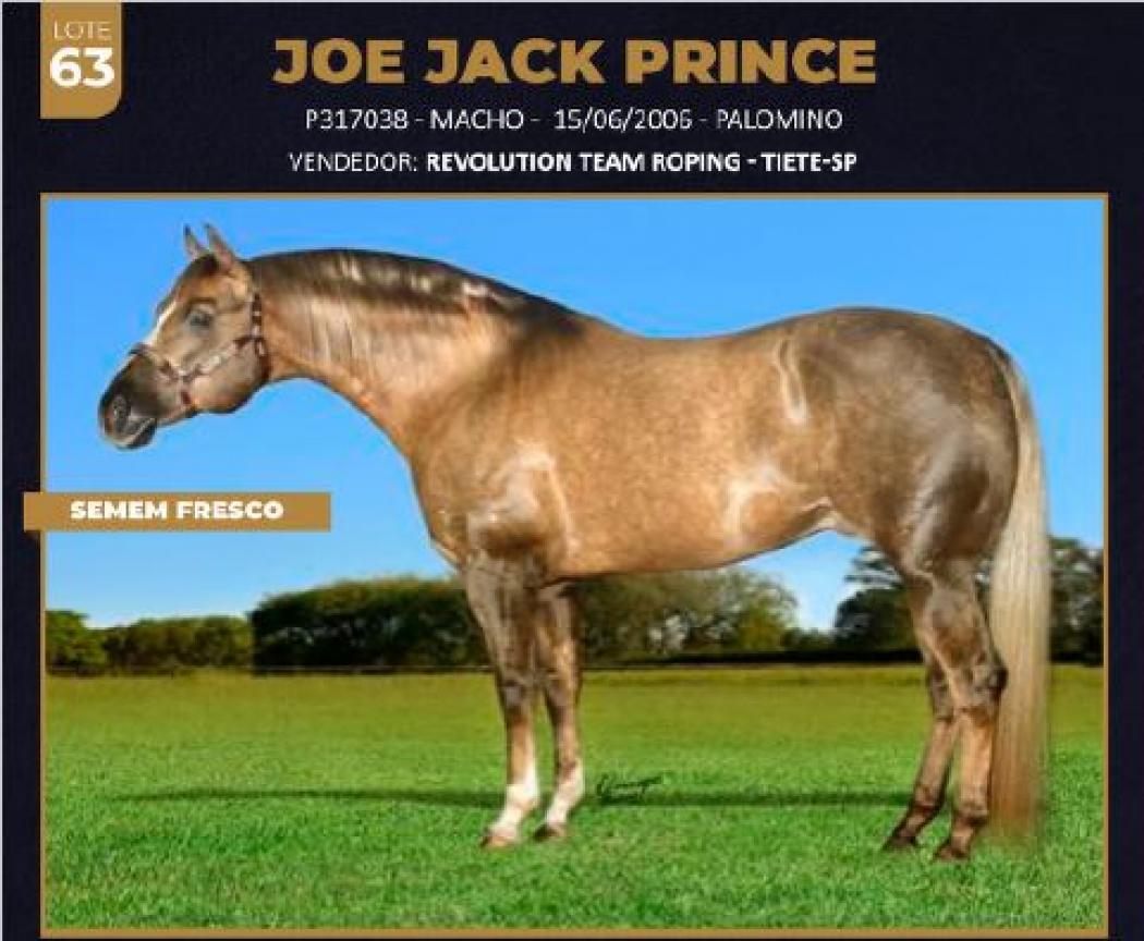 Criar leilões Online - Detalhes JOE JACK PRINCE